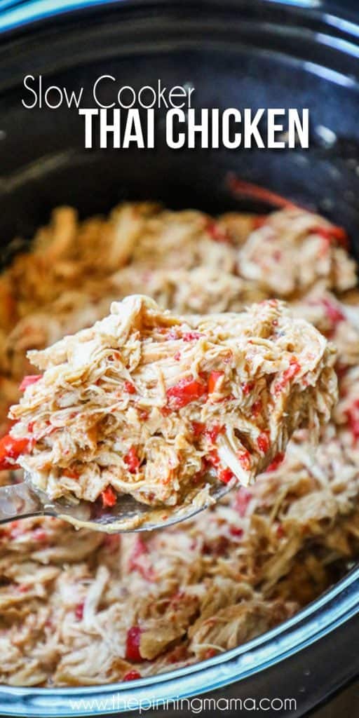 Slow Cooker Thai Chicken- Better than take out