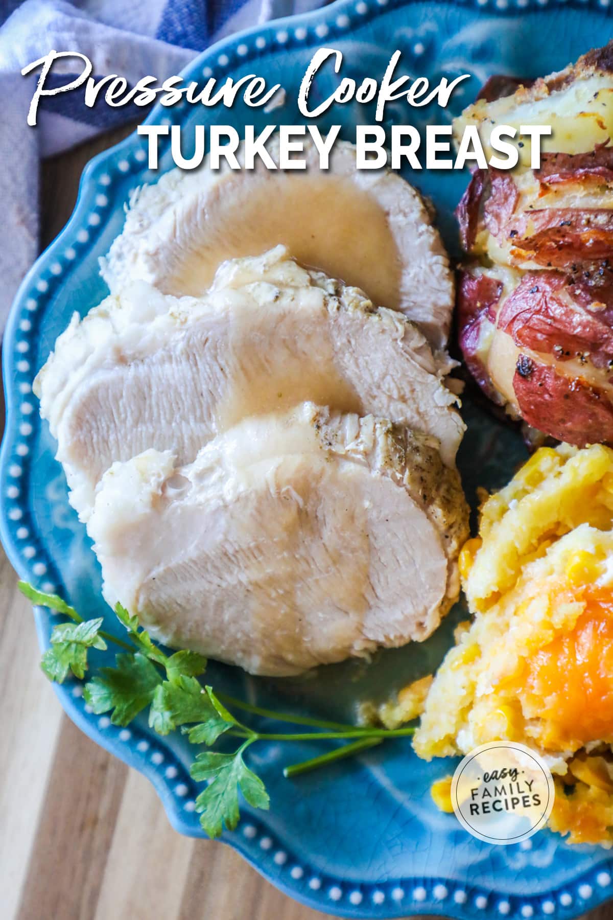 Pressure Cooker Turkey Breast · Easy Family Recipes