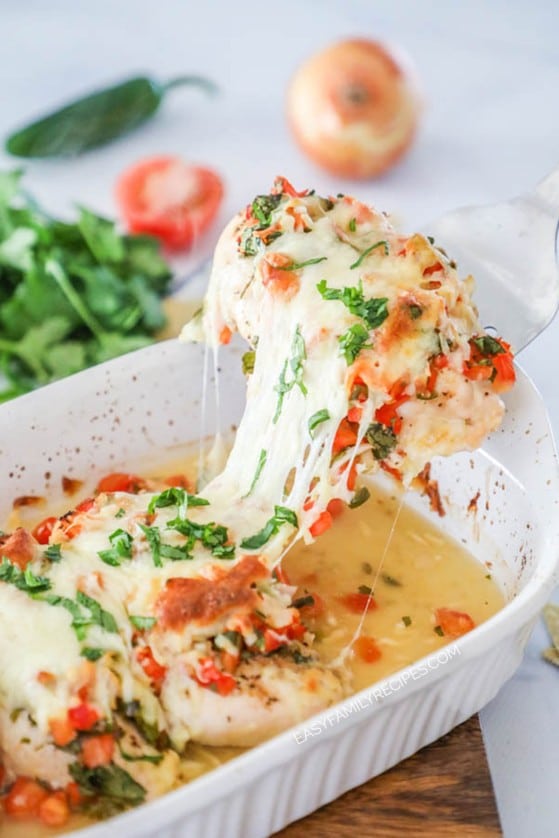 Salsa Fresca Chicken · Easy Family Recipes