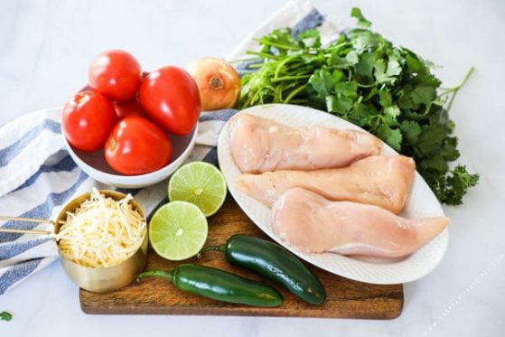Salsa Fresca Chicken · Easy Family Recipes