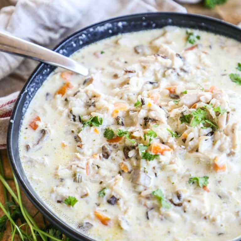 Crock Pot Chicken Wild Rice Soup · Easy Family Recipes