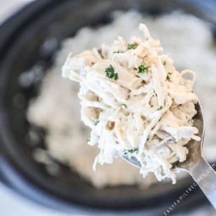Slow Cooker Ranch Chicken · Easy Family Recipes