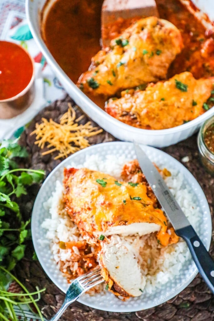 Oven Baked Salsa Chicken · Easy Family Recipes