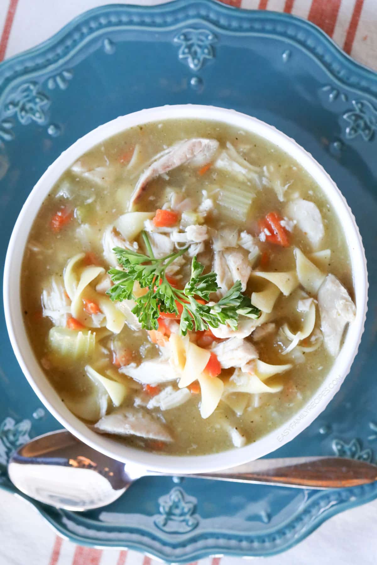 Rotisserie Chicken Noodle Soup · Easy Family Recipes