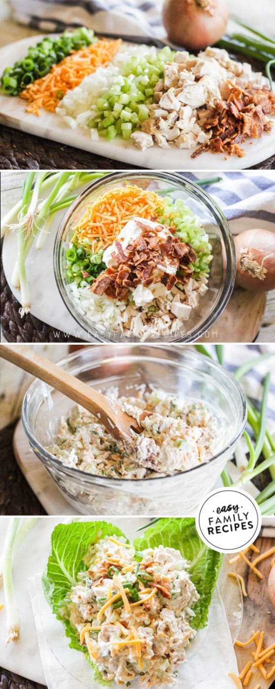Famous LOADED Chicken Salad · Easy Family Recipes