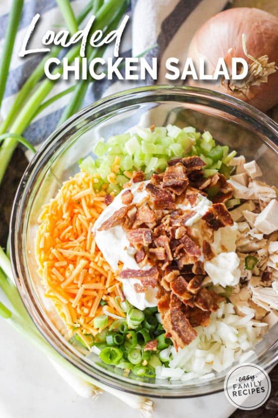 Famous LOADED Chicken Salad · Easy Family Recipes