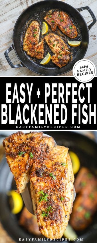 PERFECT Blackened Fish {Easy 10 min Recipe!} · Easy Family Recipes