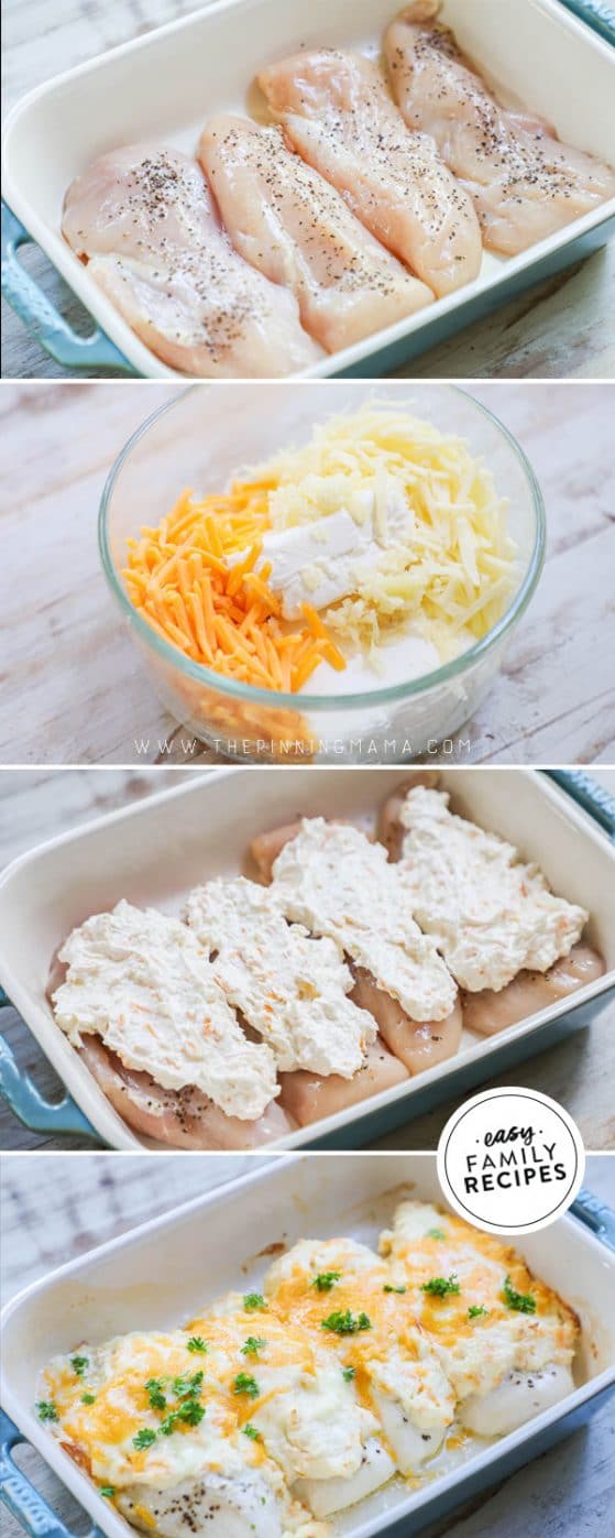 3 Cheese Baked Chicken · Easy Family Recipes