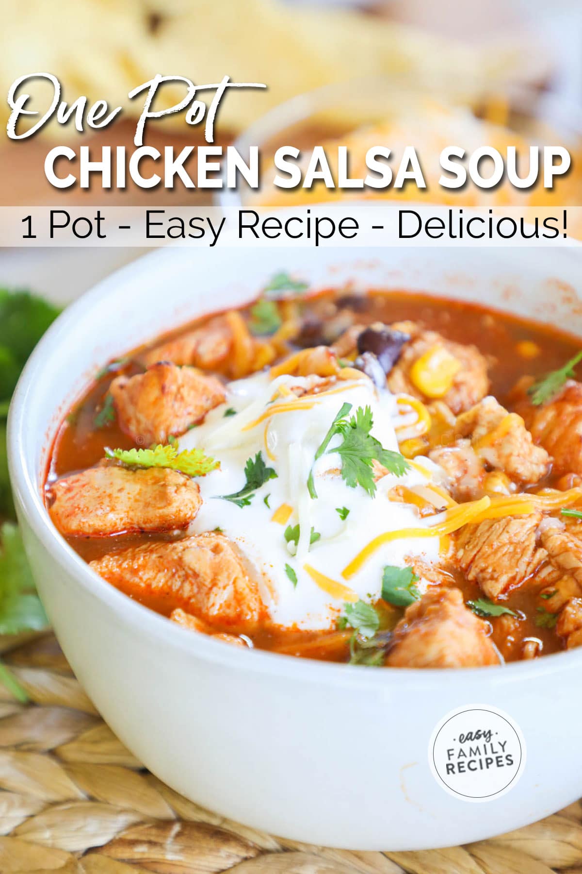 Chicken Salsa Soup - One Pot · Easy Family Recipes