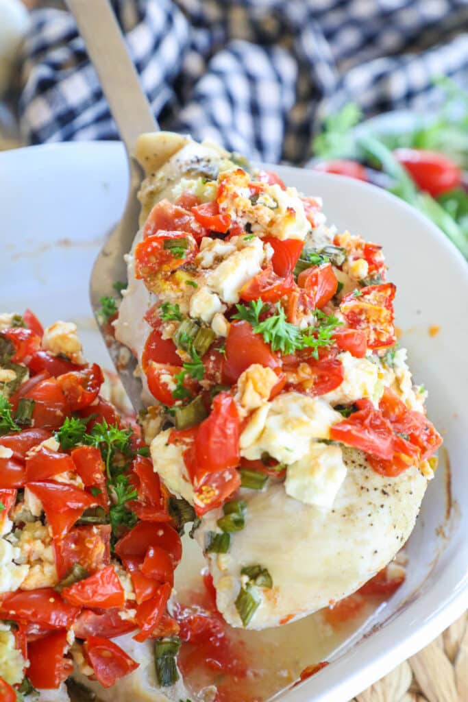 Chicken Feta Tomato Bake · Easy Family Recipes