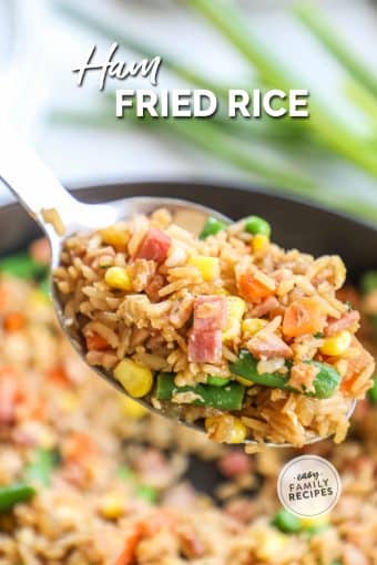 Ham Fried Rice · Easy Family Recipes