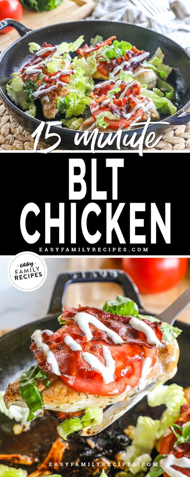 BLT Chicken Skillet · Easy Family Recipes