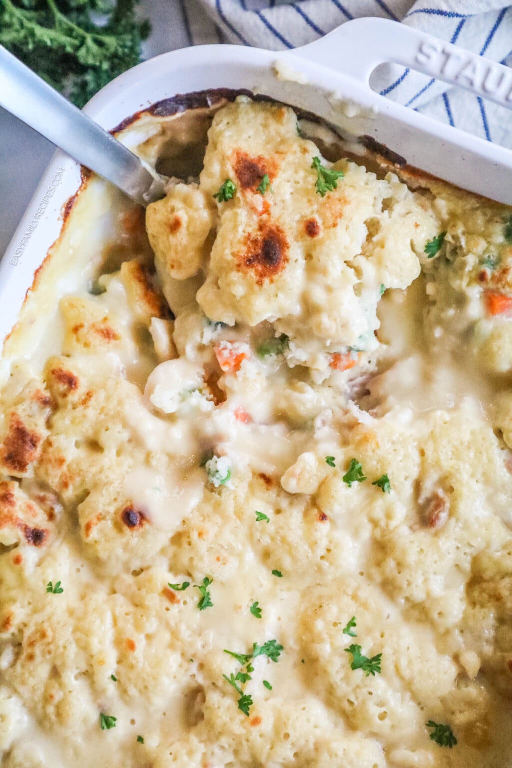Chicken Cobbler (Viral Recipe!) · Easy Family Recipes