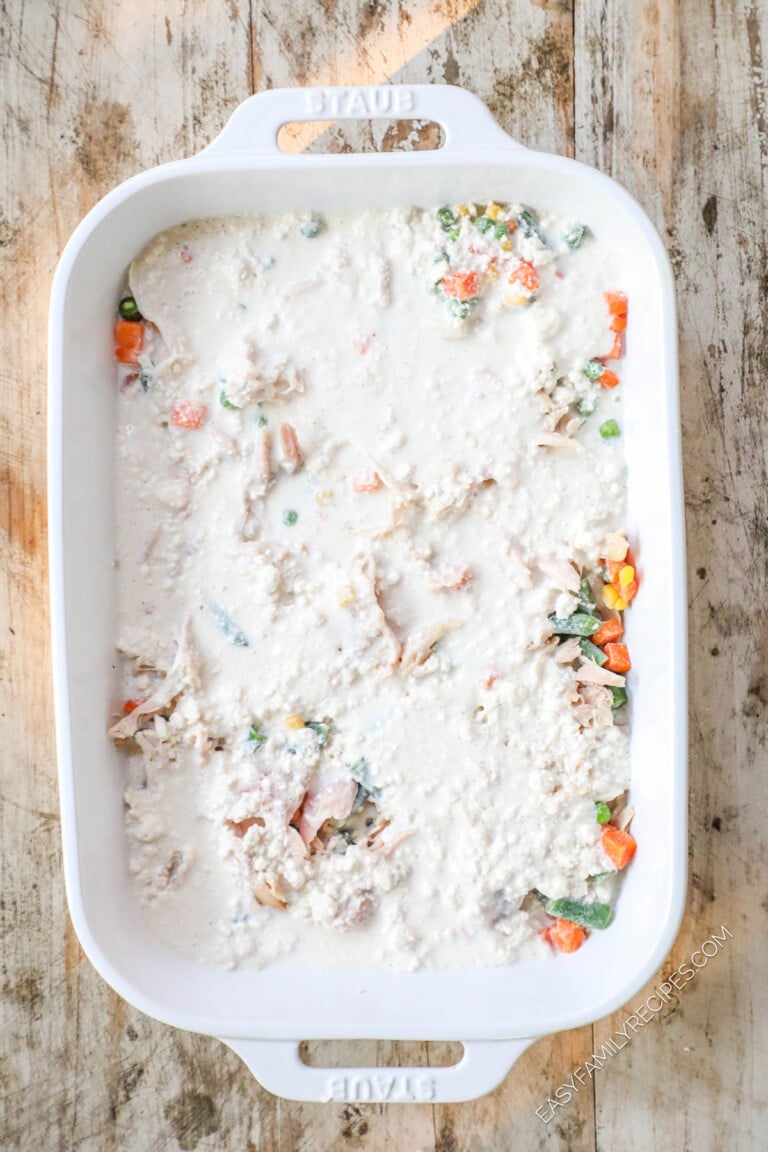 Chicken Cobbler (Viral Recipe!) · Easy Family Recipes