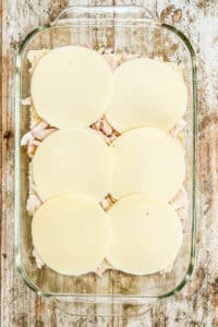 Shredded Chicken Sliders · Easy Family Recipes