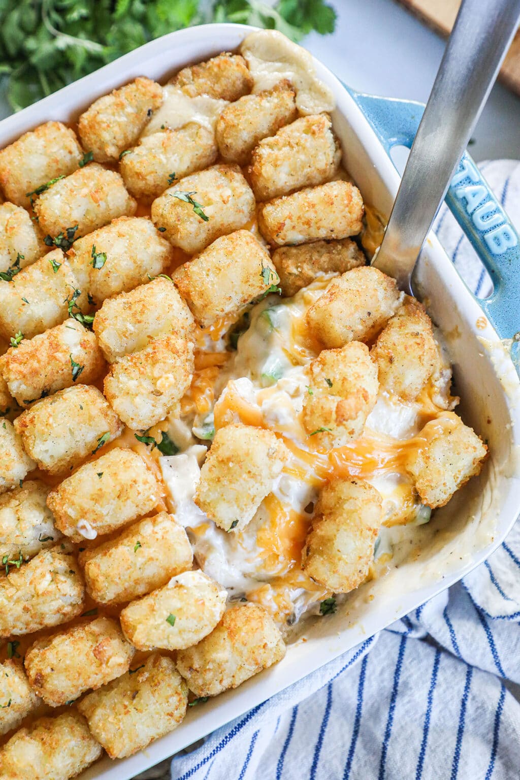 Cheesy Chicken Tater Tot Casserole · Easy Family Recipes