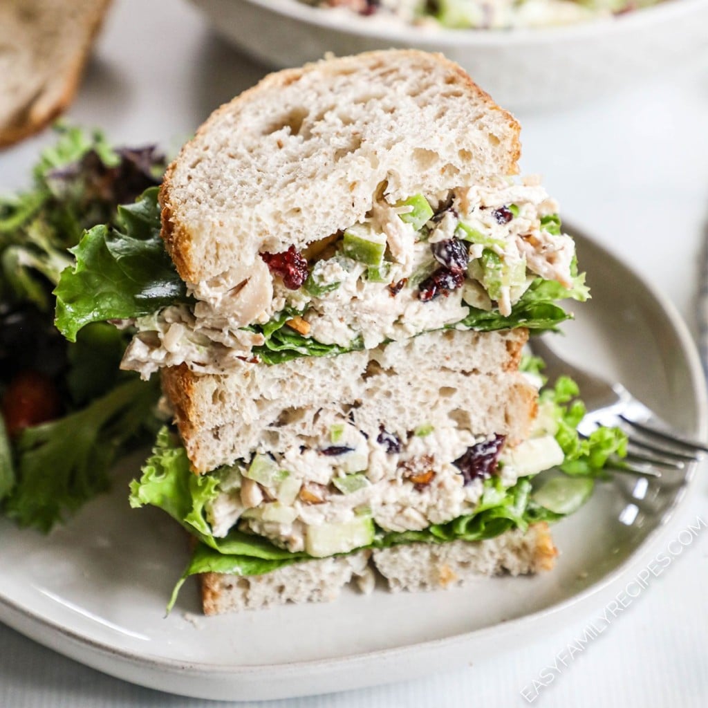 Cranberry Walnut Chicken Salad · Easy Family Recipes