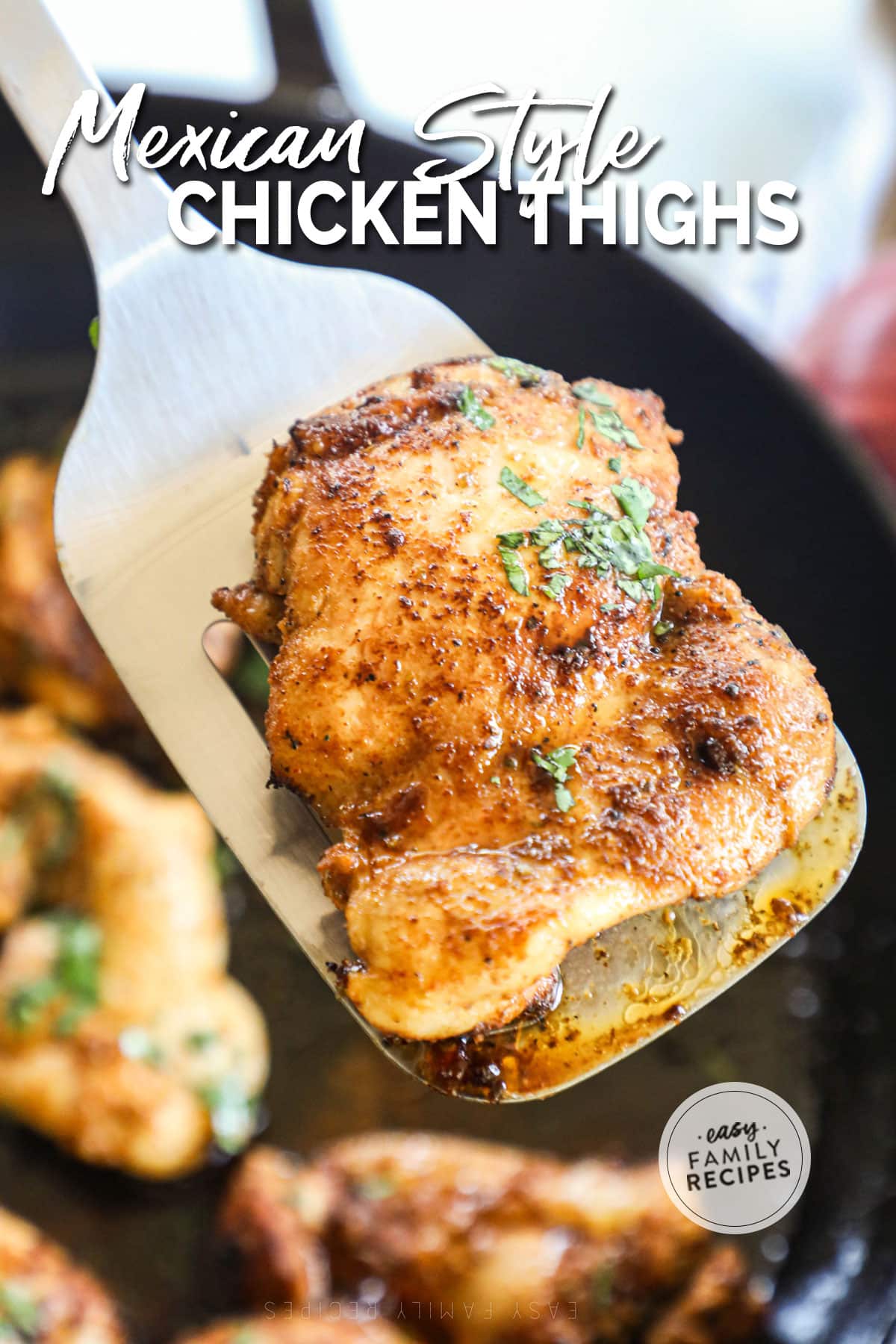 Mexican Style Chicken Thighs · Easy Family Recipes