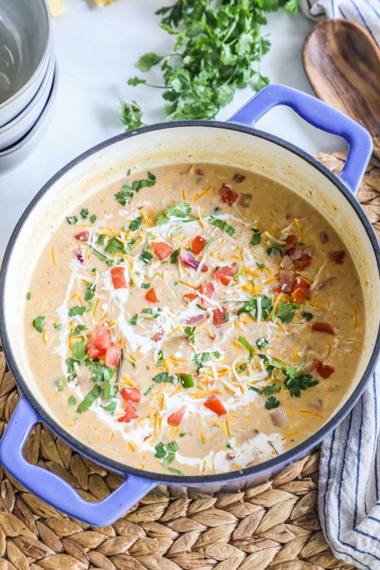 50+ Diced Chicken Recipes · Easy Family Recipes