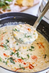 40+ Easy Leftover Rotisserie Chicken Recipes · Easy Family Recipes