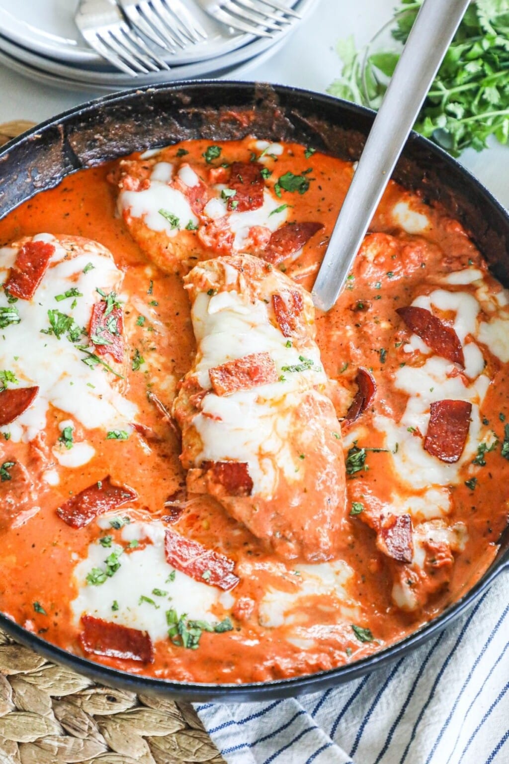 40+ Stove Top Chicken Recipes · Easy Family Recipes