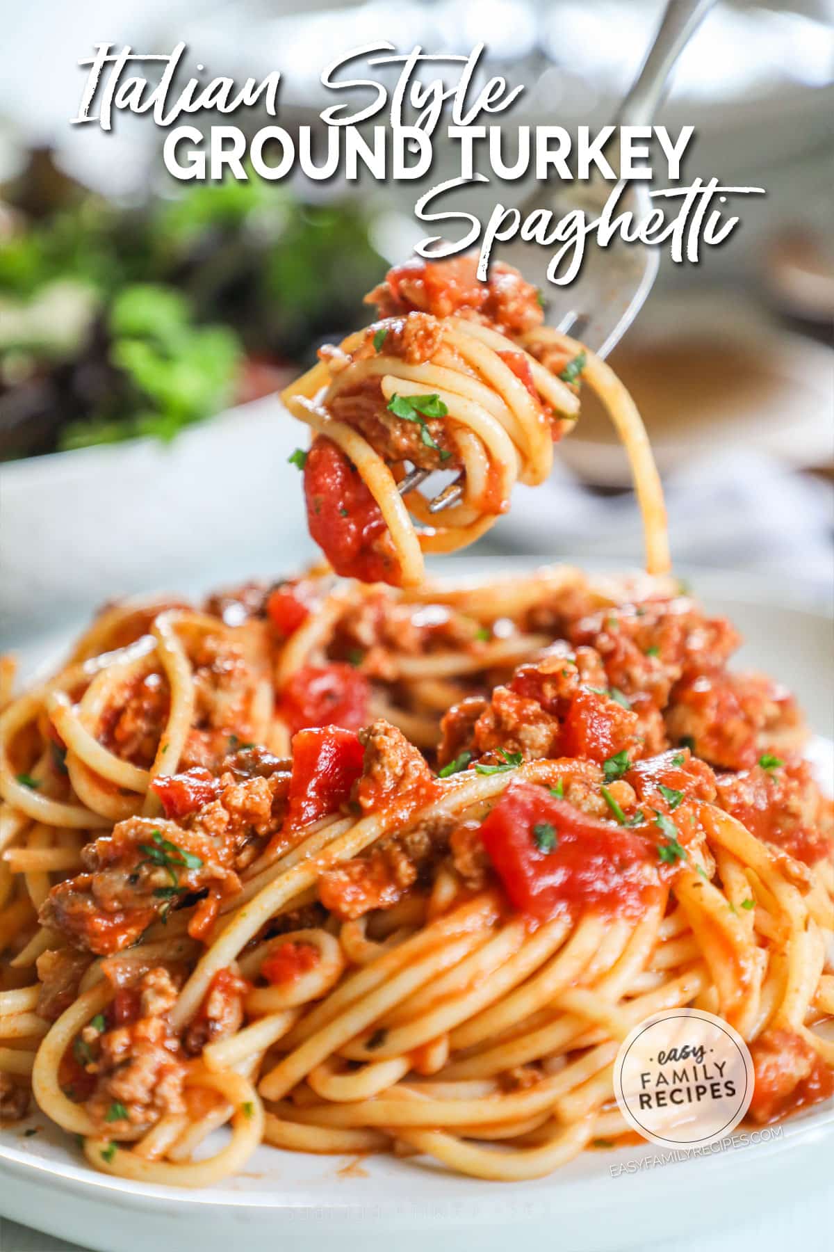 Italian Style Ground Turkey Spaghetti · Easy Family Recipes