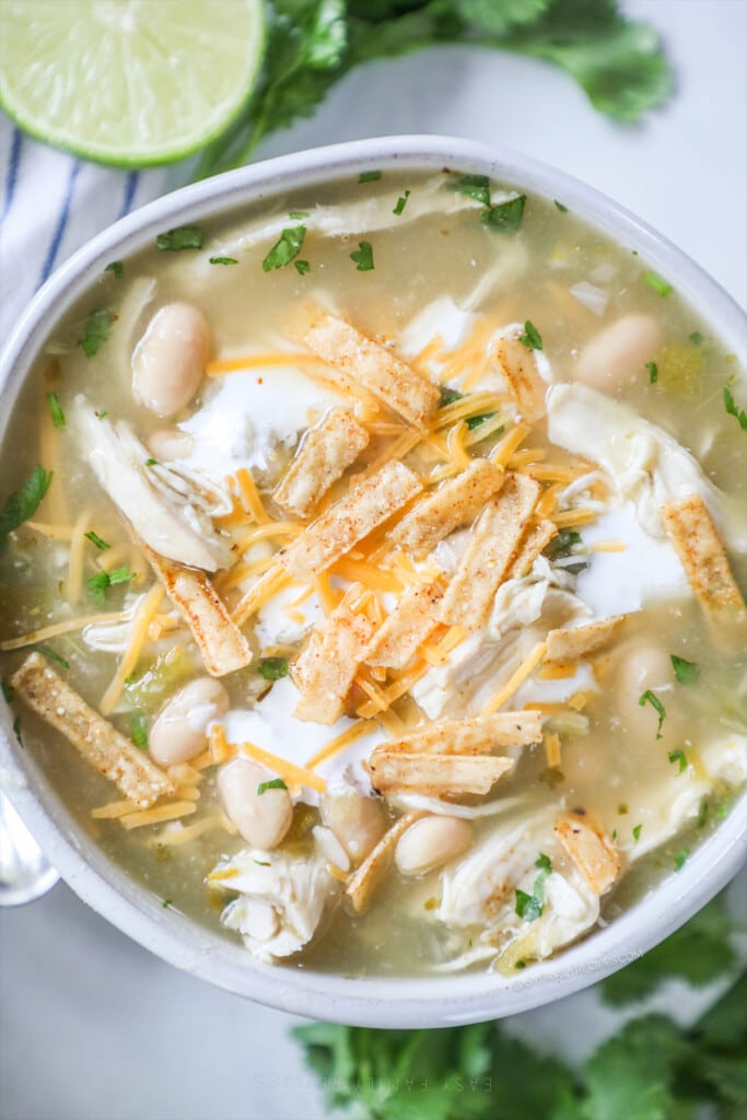 Salsa Verde Chicken Soup · Easy Family Recipes