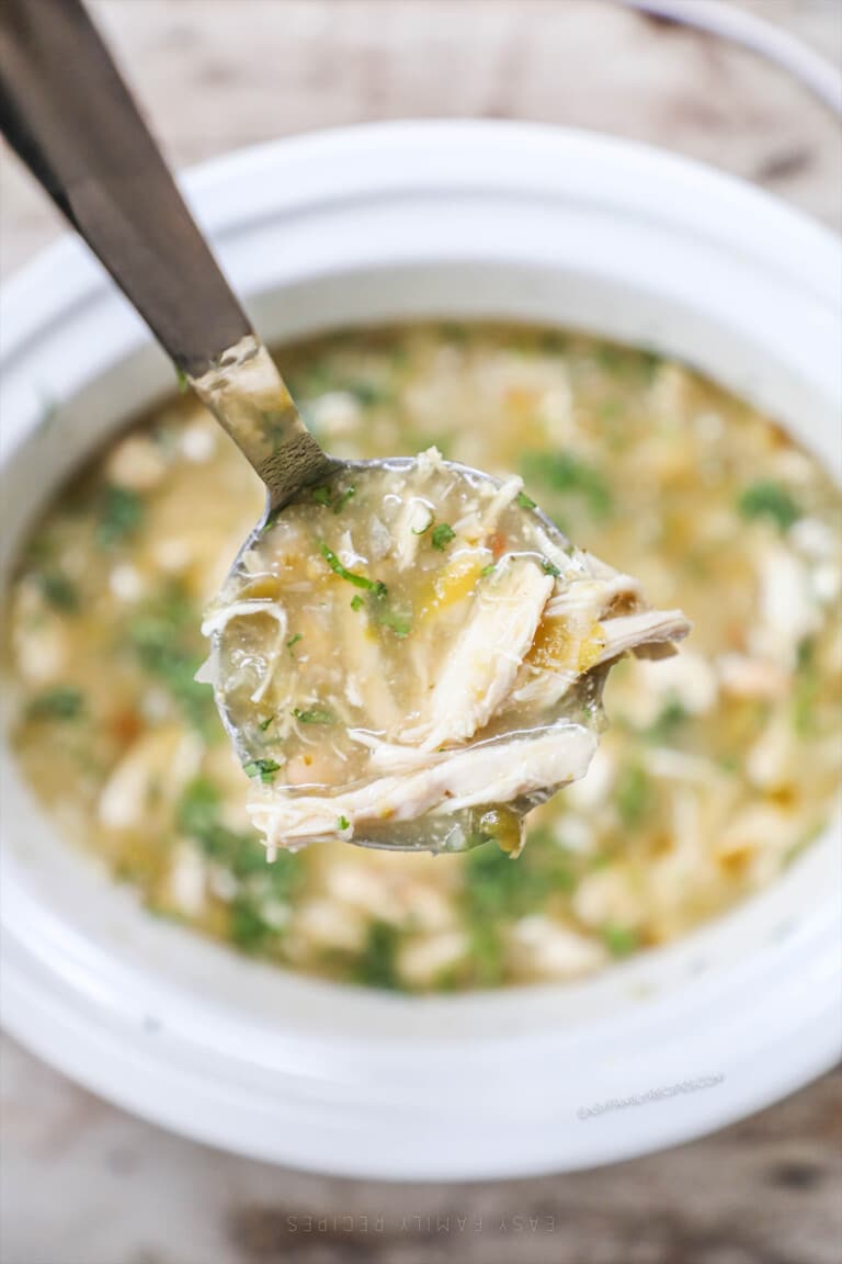 Salsa Verde Chicken Soup · Easy Family Recipes