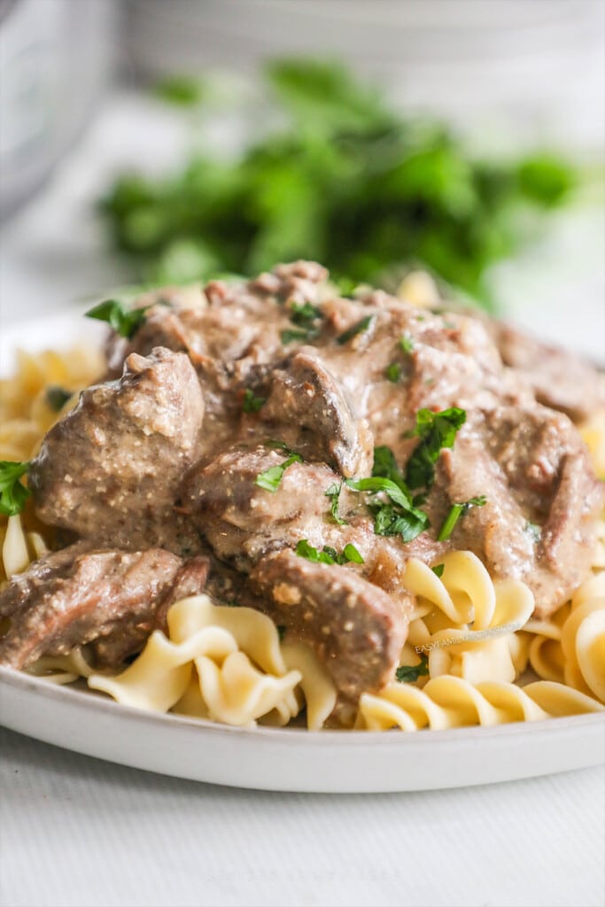 Crockpot Beef Stroganoff · Easy Family Recipes