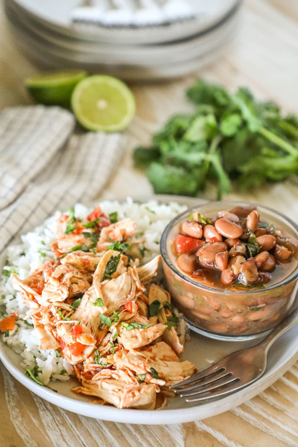 Crockpot Salsa Chicken · Easy Family Recipes