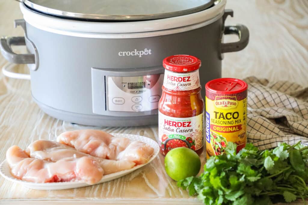 Crockpot Salsa Chicken · Easy Family Recipes