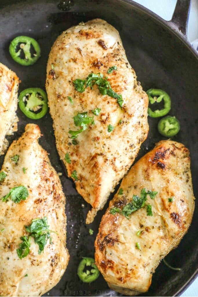 23+ High Protein Chicken Recipes · Easy Family Recipes