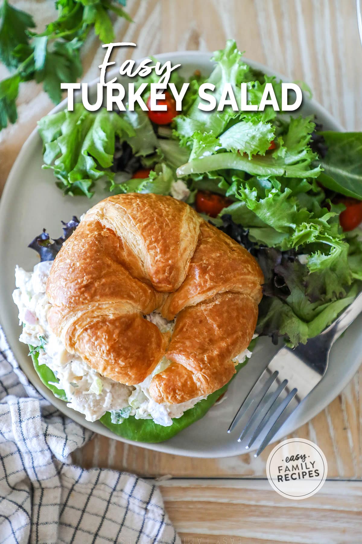 Easy Turkey Salad · Easy Family Recipes