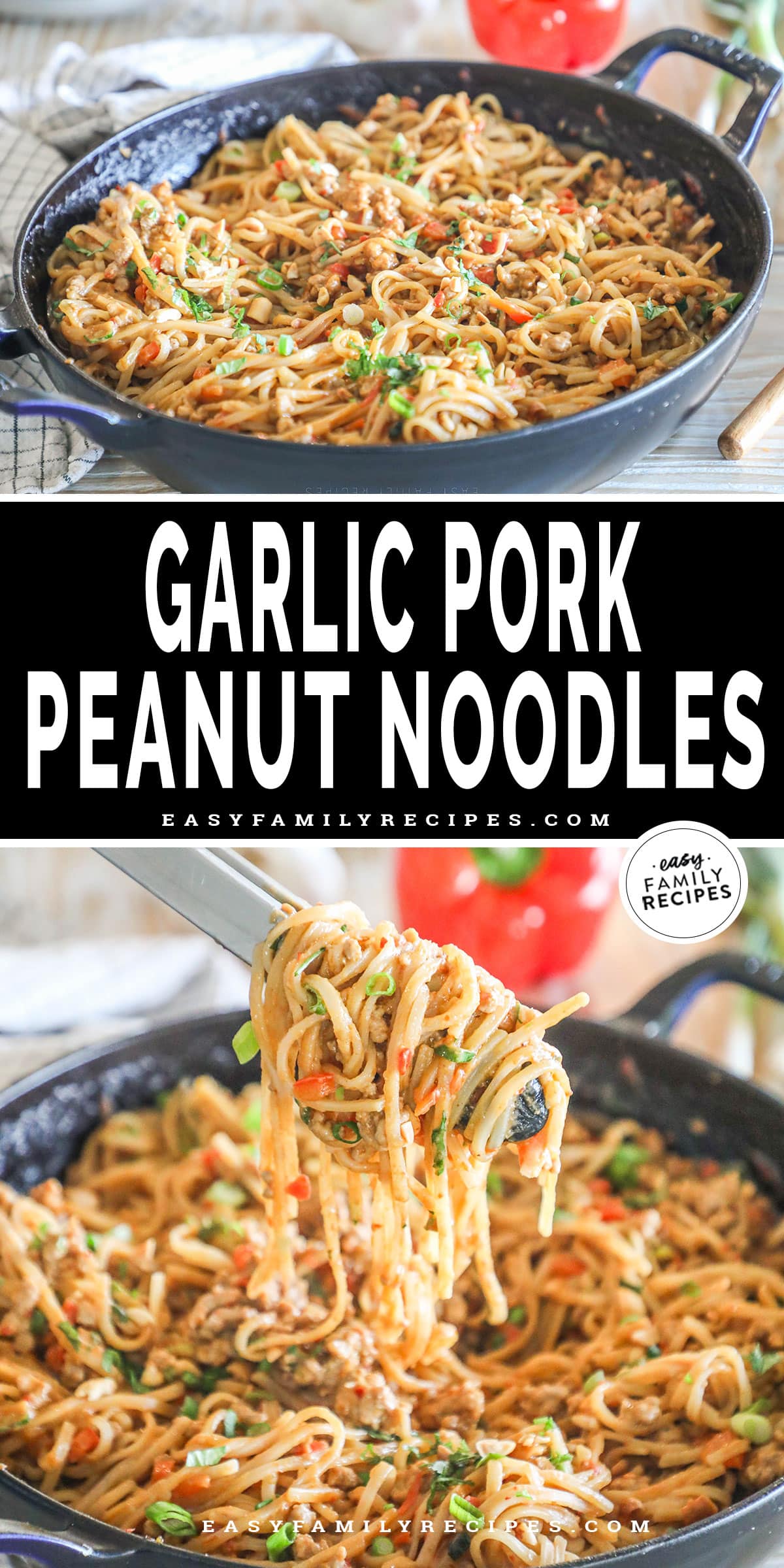 Garlic Pork Peanut Noodles · Easy Family Recipes