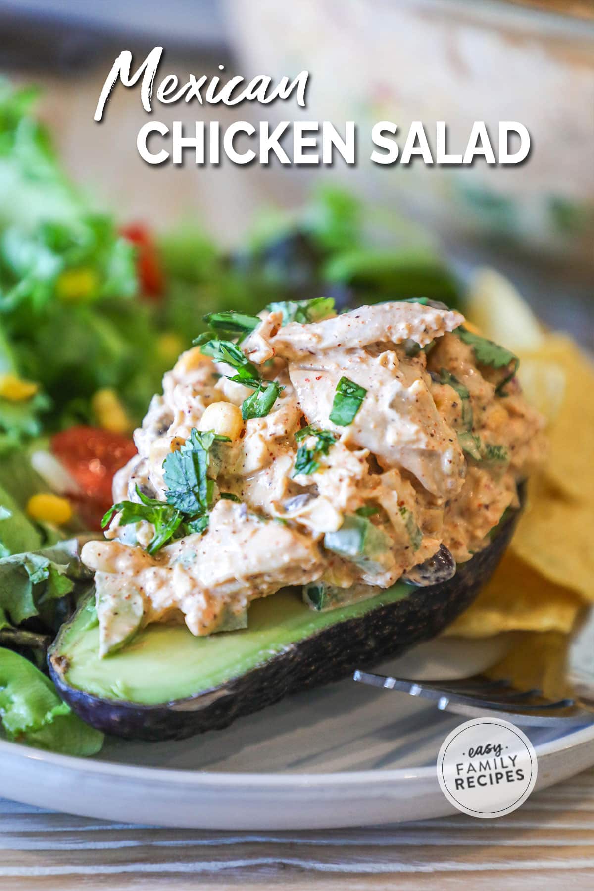 Mexican Chicken Salad · Easy Family Recipes