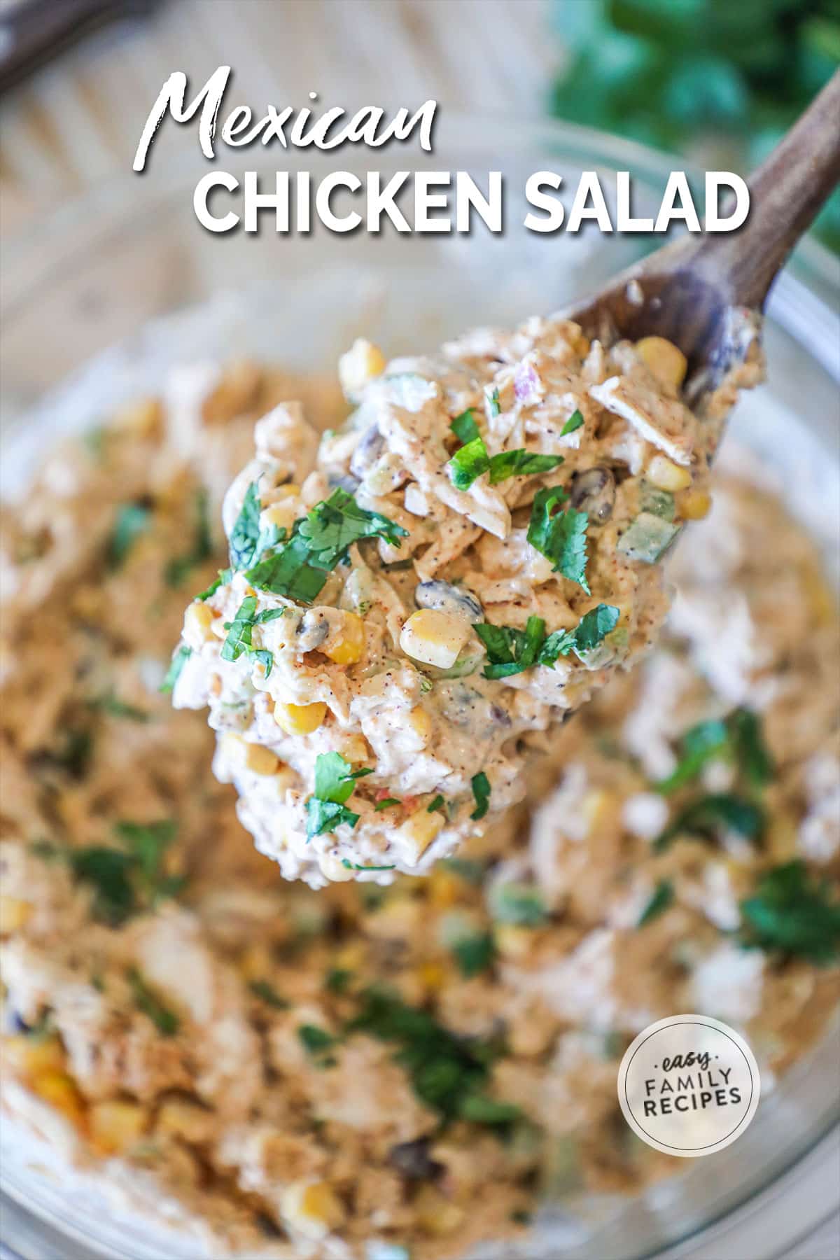 Mexican Chicken Salad · Easy Family Recipes