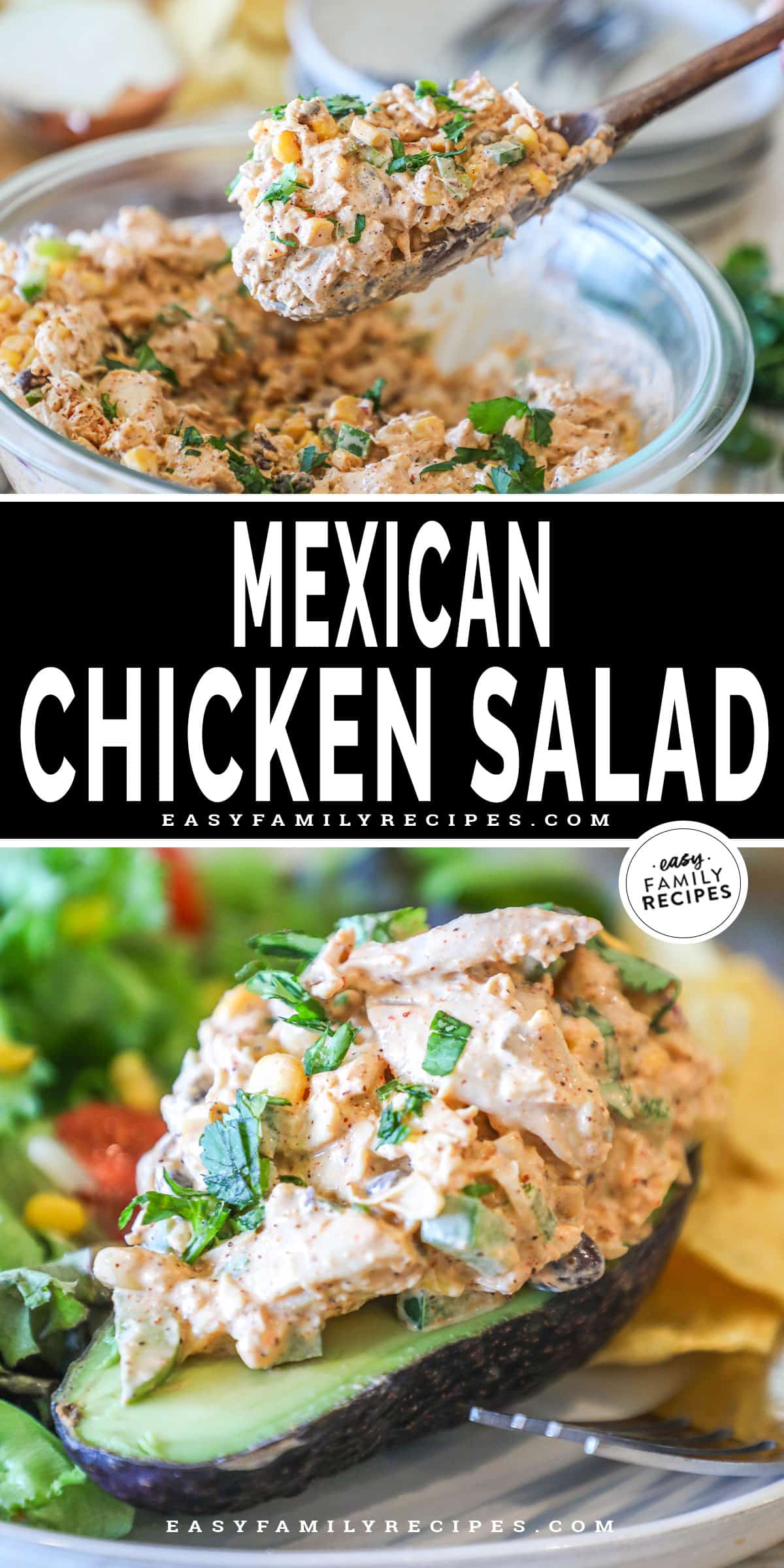 Mexican Chicken Salad · Easy Family Recipes